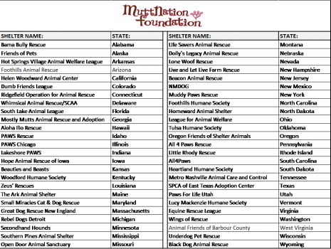 Miranda Lambert’s Muttnation Honors Mutts Across U.S. ‣ Loggins ...